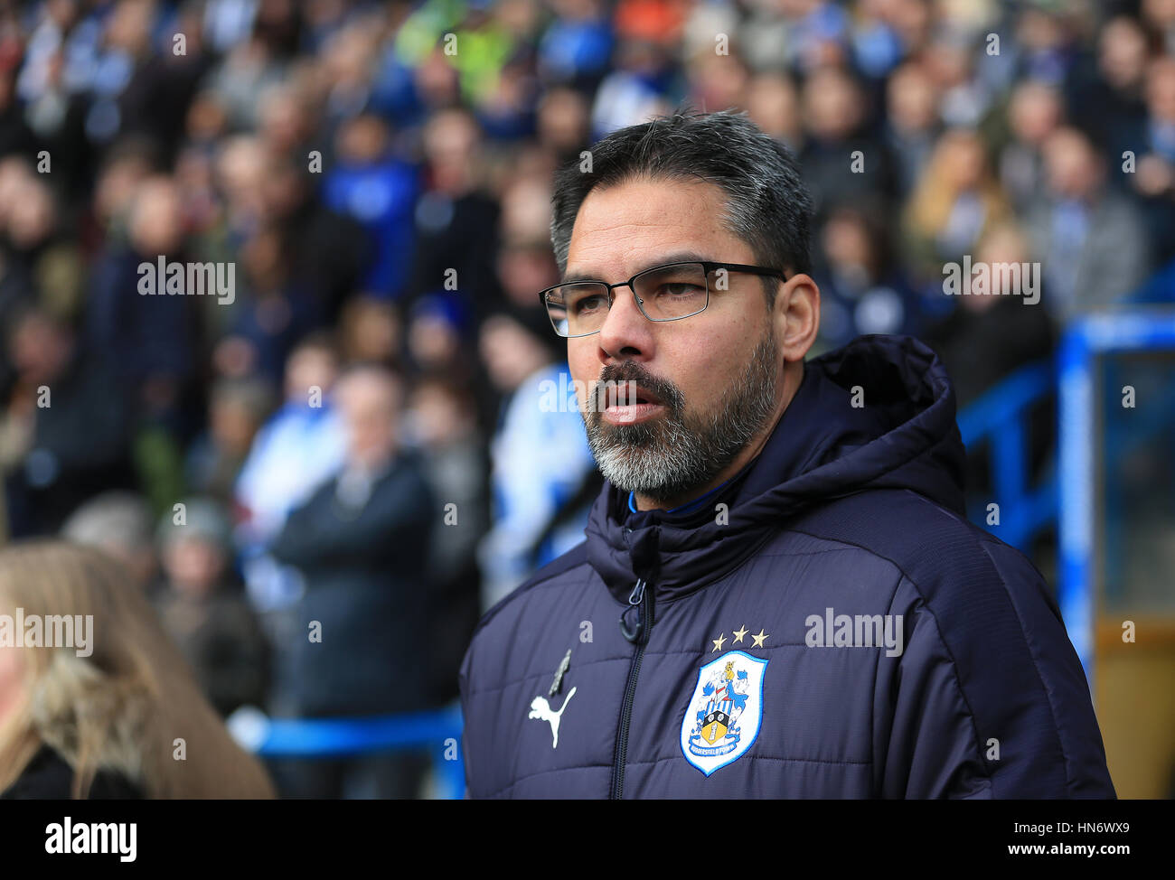 Huddersfield Town manager David Wagner Stock Photo - Alamy