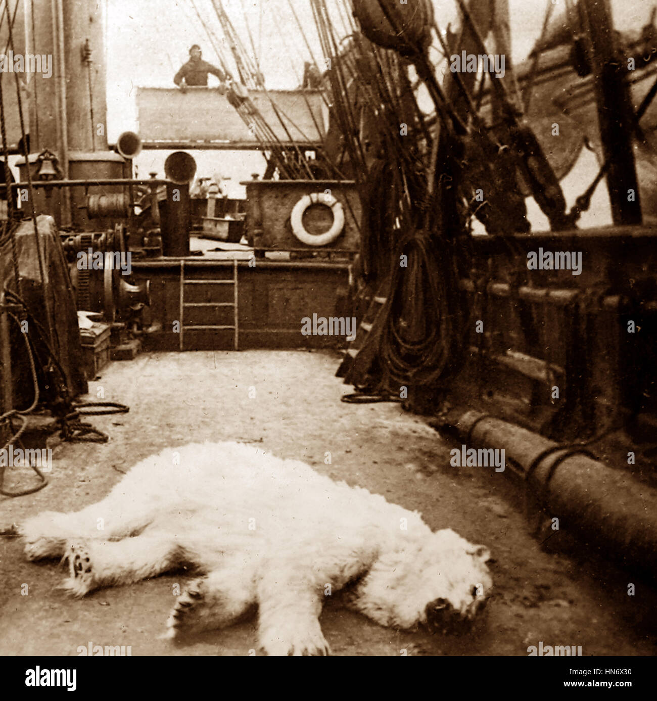 Whaling ship in the Arctic with dead polar bear - Victorian period ...