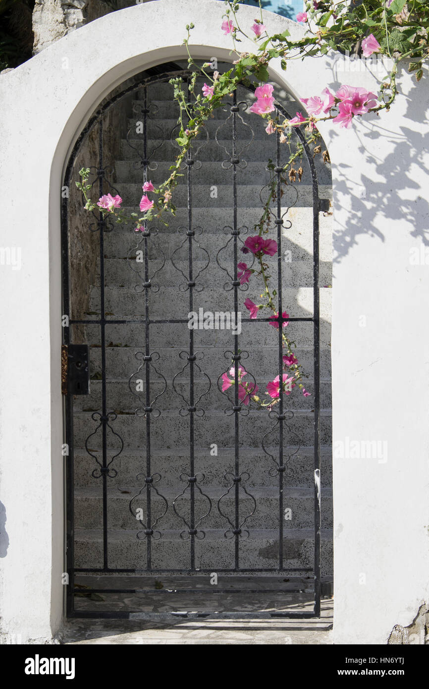 Gate shadow background hi-res stock photography and images - Alamy