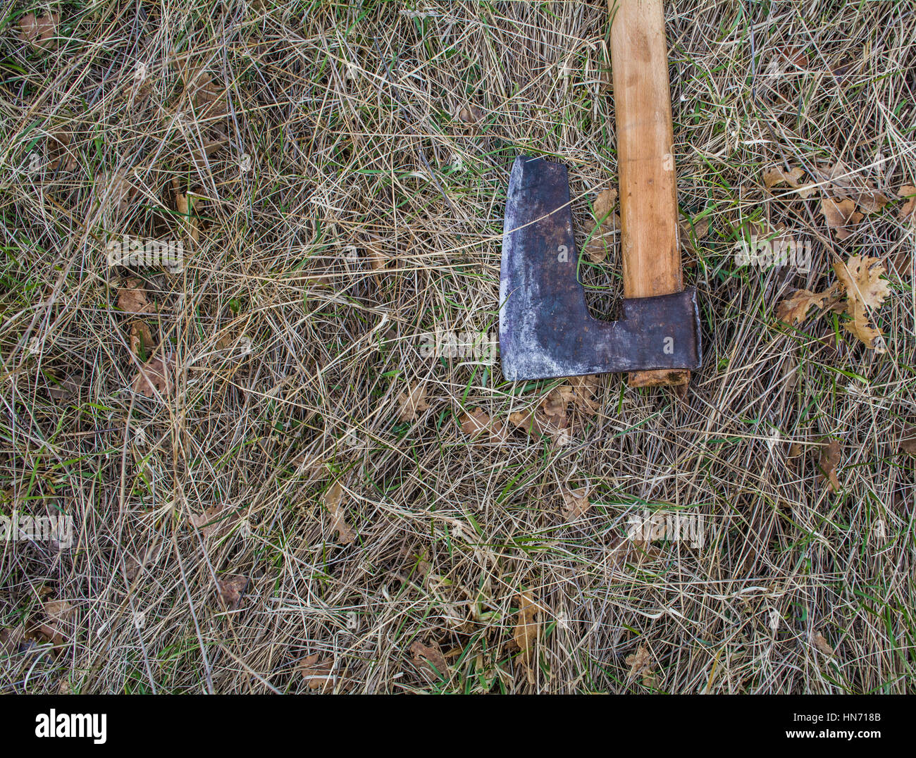 Farmer with axe hi-res stock photography and images - Alamy