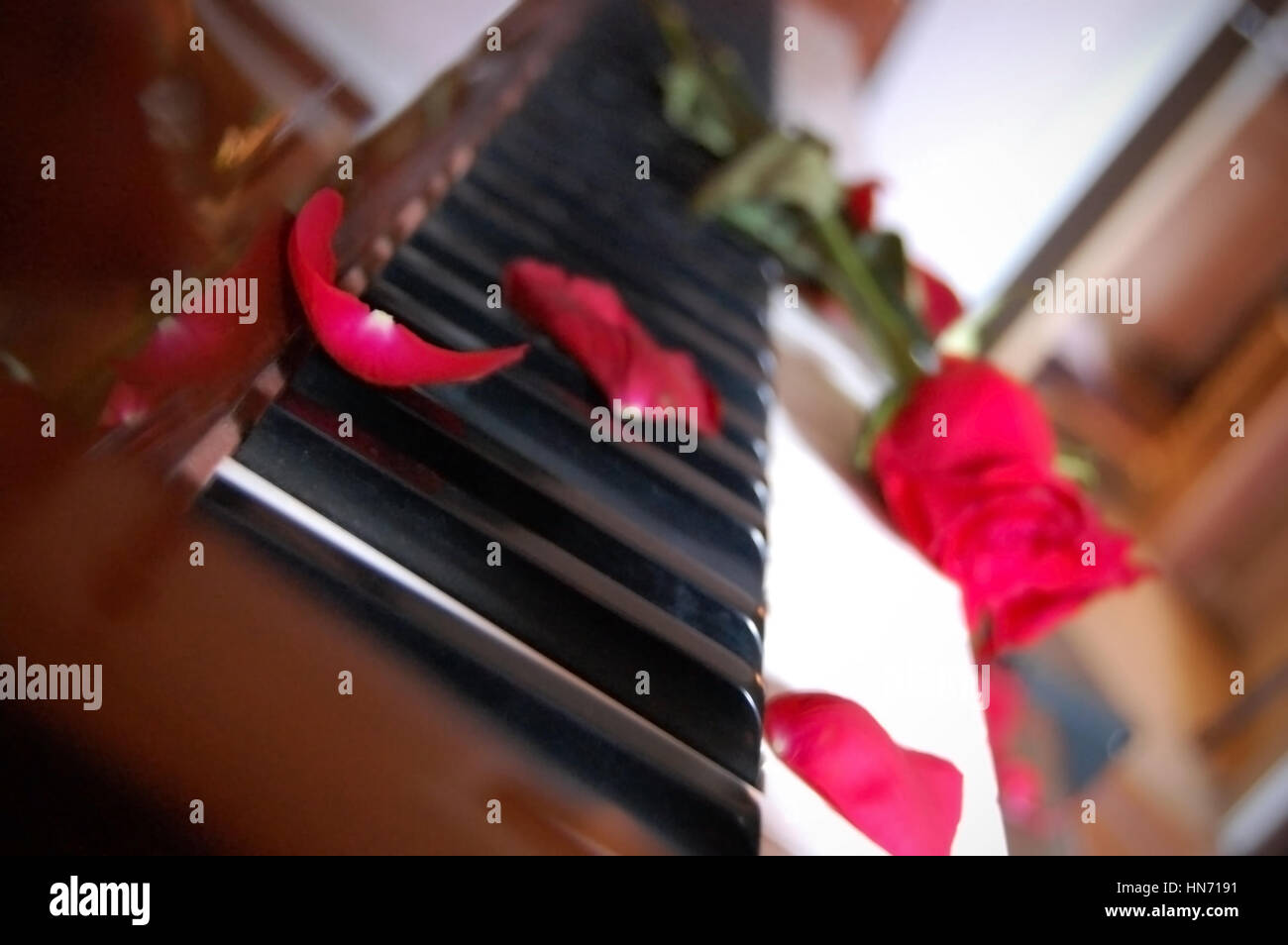Piano keys with roses hi-res stock photography and images - Alamy