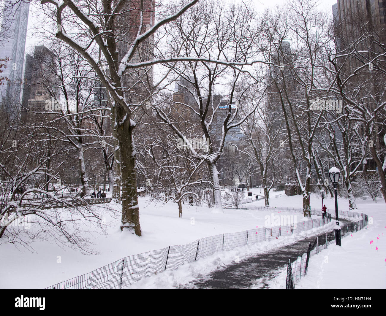 New York's Central Park in fresh fallen snow, 2017 Stock Photo - Alamy