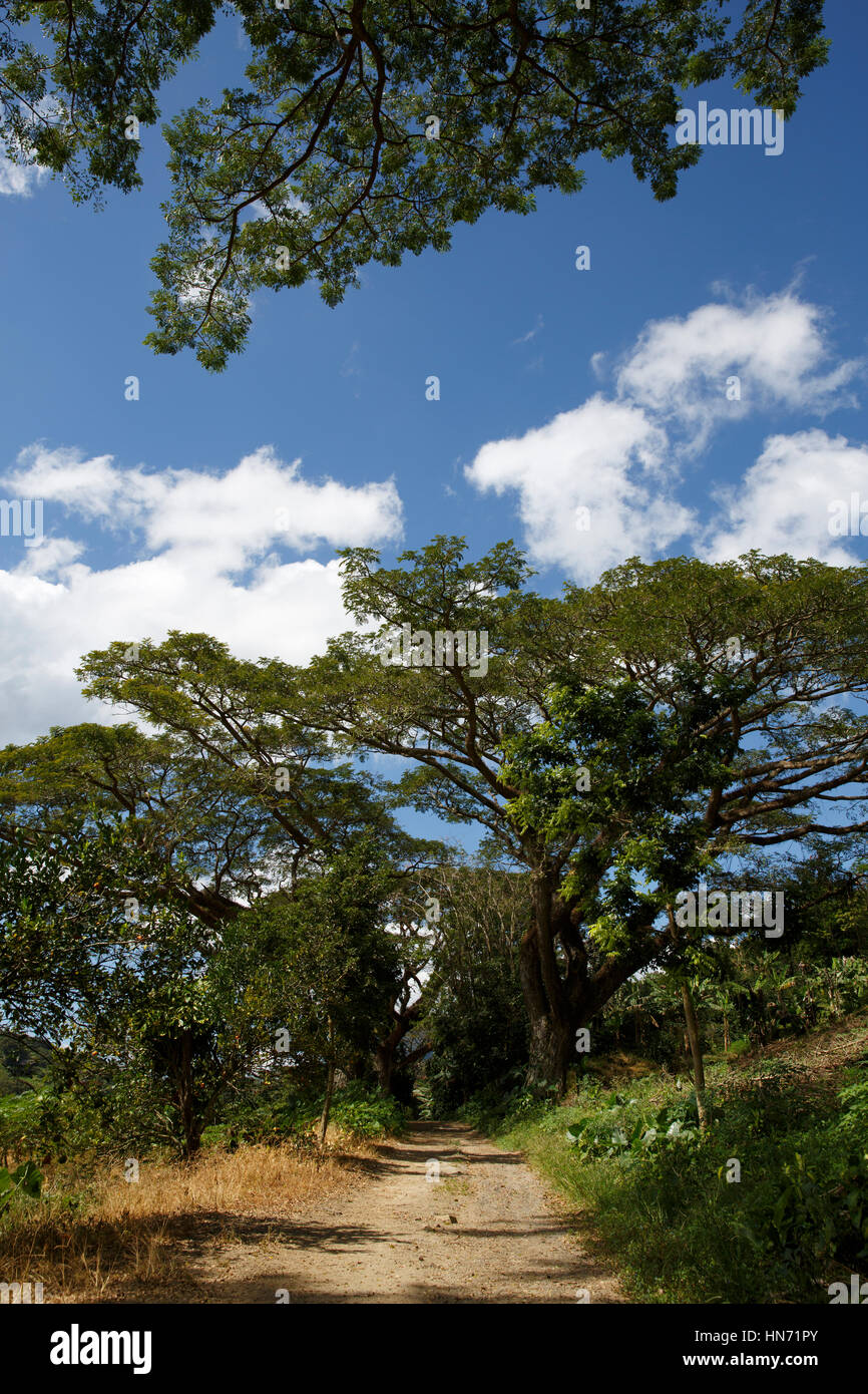 Country rural road hi-res stock photography and images - Alamy