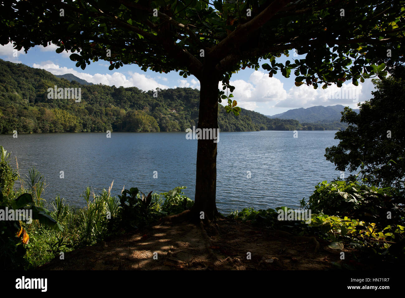 Scenic landscape, Lake Caonillas, Lago Caonillas, Utuado, Puerto Rico ...