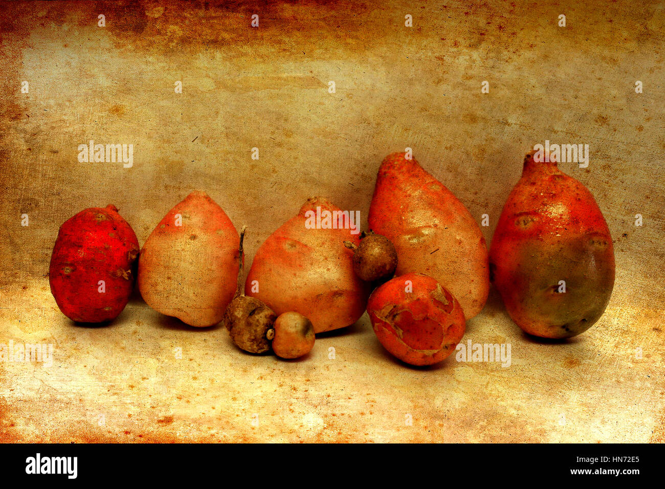 Potato family hi-res stock photography and images - Alamy