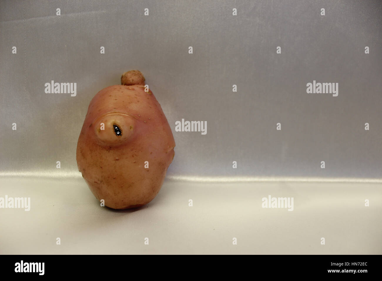 Potato Family of 1 Number 18 of 47 Stock Photo - Alamy
