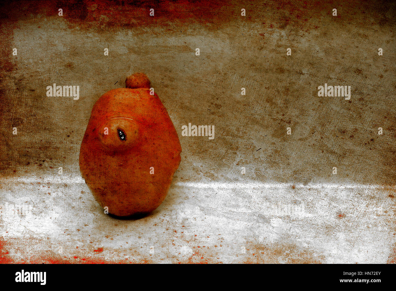 Potato Family of 1 Number 16 of 47 Stock Photo - Alamy