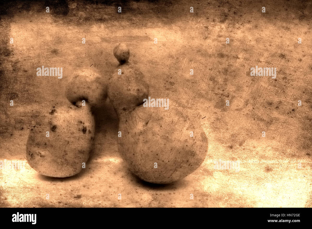 Potato Family of 2 Number 11 of 47 Stock Photo - Alamy