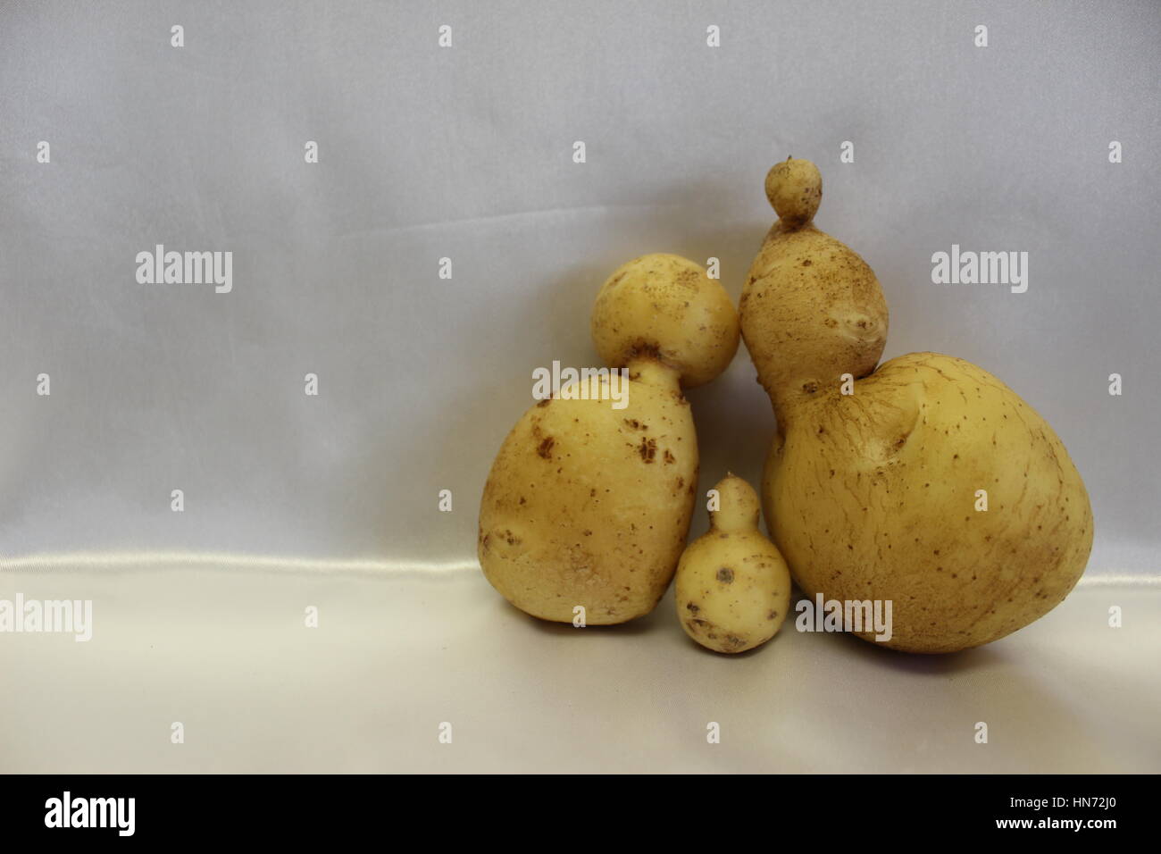 Potato Family of 3 Number 5 of 47 Stock Photo - Alamy
