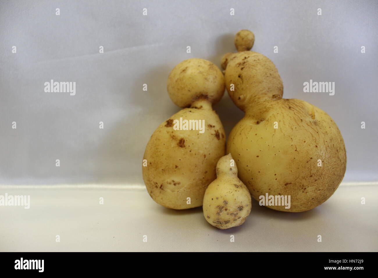 Potato Family of 3 Number 4 of 47 Stock Photo - Alamy