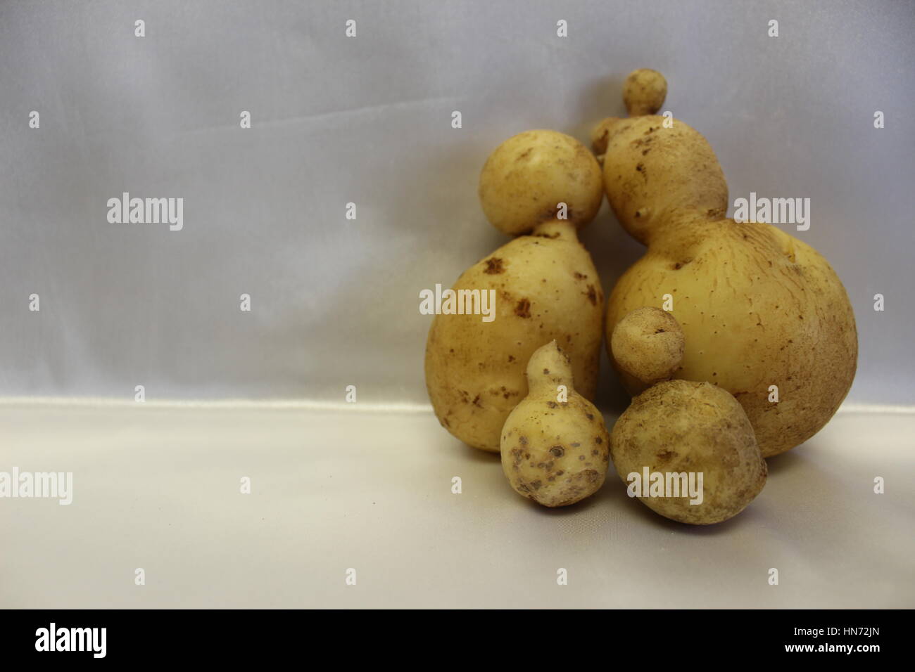 Potato Family of 4 Number 1 of 47 Stock Photo - Alamy