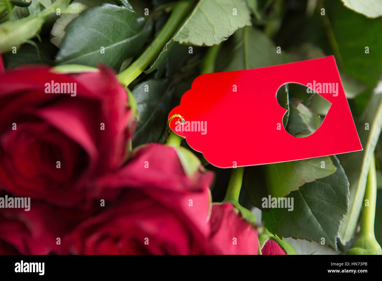 Bunch of red roses with tag on white background Stock Photo - Alamy