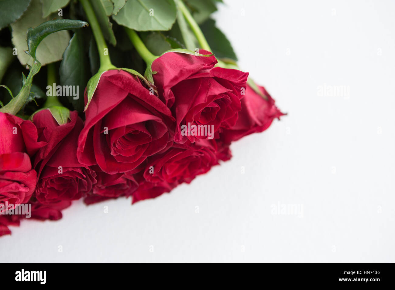 Bunch of red roses on white background Stock Photo - Alamy