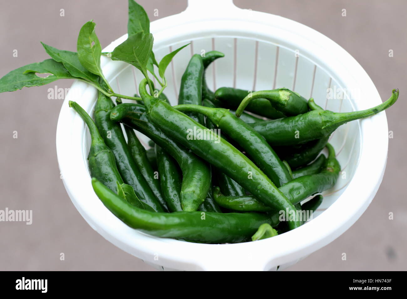 Long green vegetables hi-res stock photography and images - Alamy