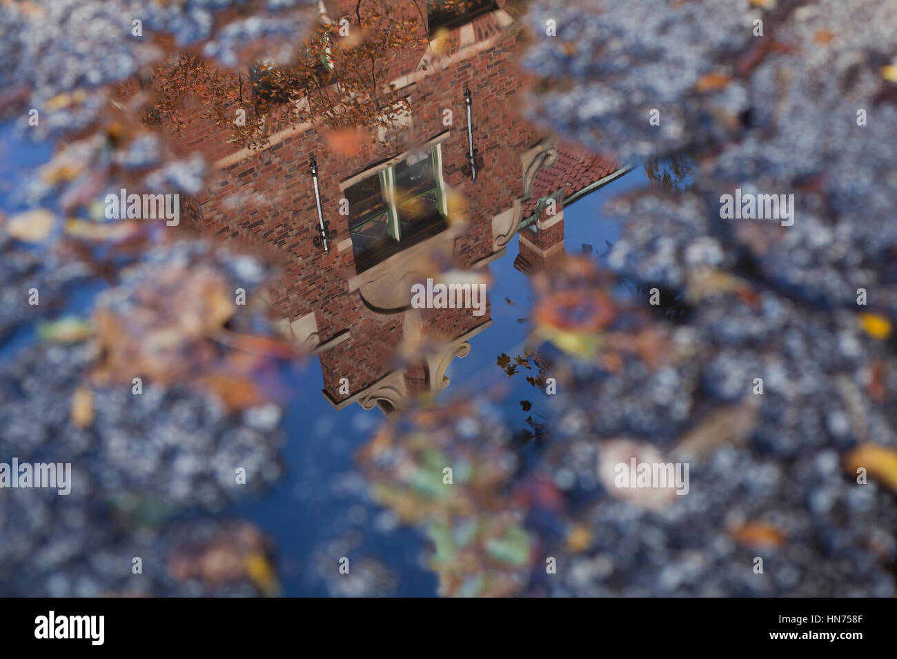 Reflection in the rain water hi-res stock photography and images - Alamy