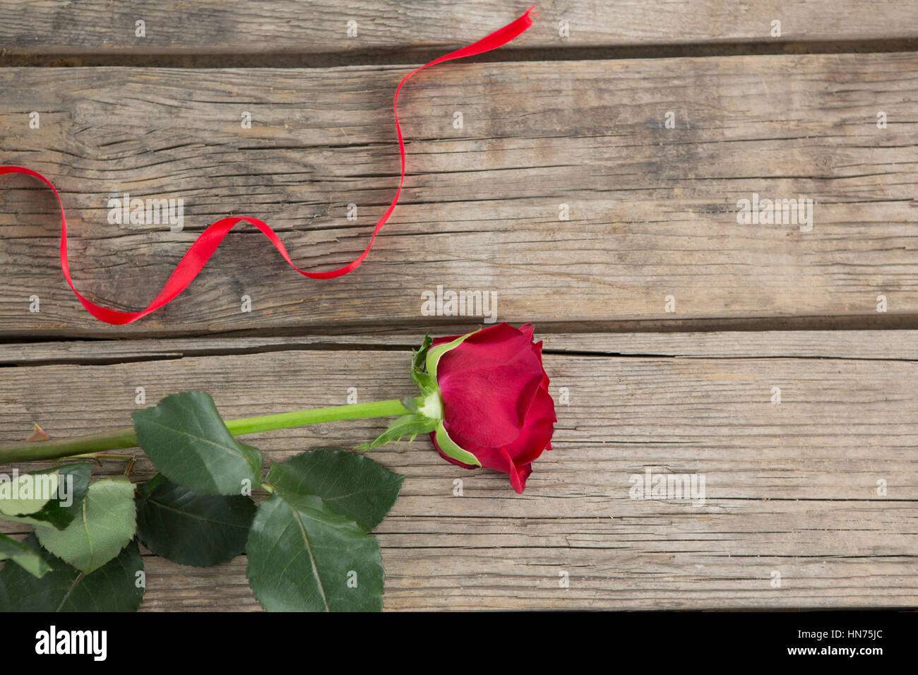 Rose red ribbons hi-res stock photography and images - Alamy