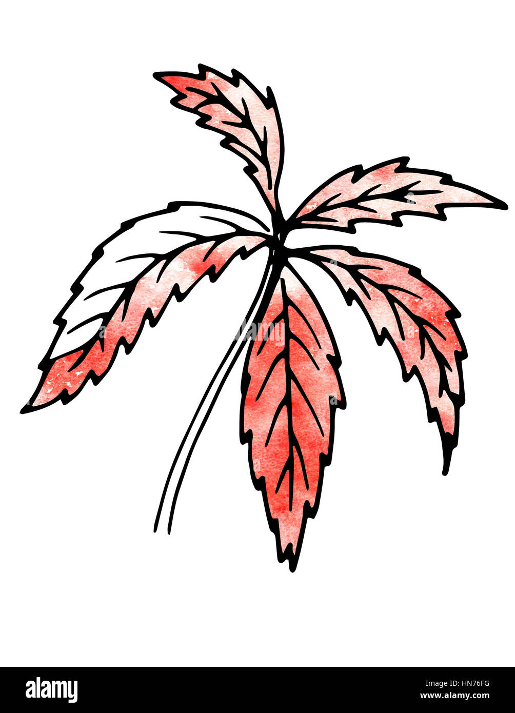Red Plant leaves. Hand drawing and computer processing. For design ...