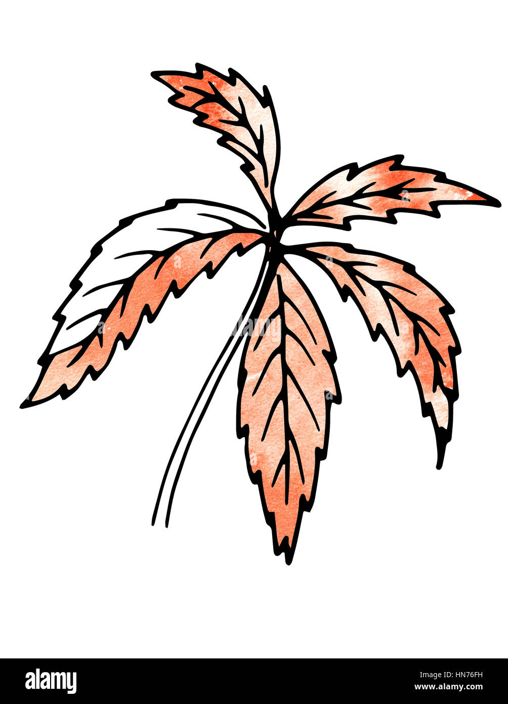 Beige Plant leaves. Hand drawing and computer processing. For design ...