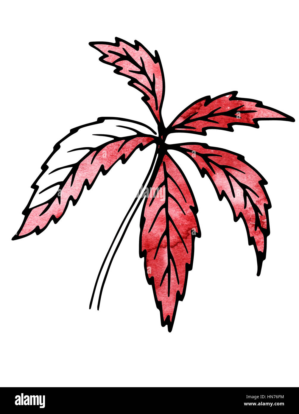 Red Plant leaves. Hand drawing and computer processing. For design ...