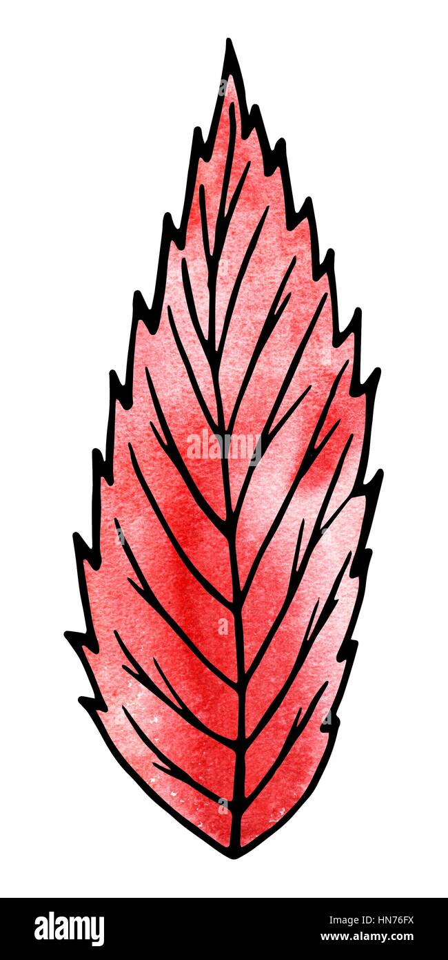 Red Plant leaves. Hand drawing and computer processing. For design ...
