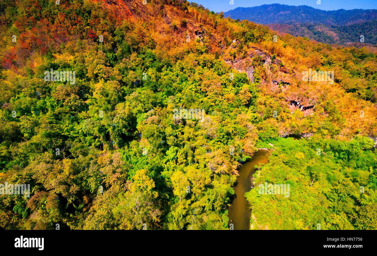 Aerial view of autumn forest Stock Photo - Alamy