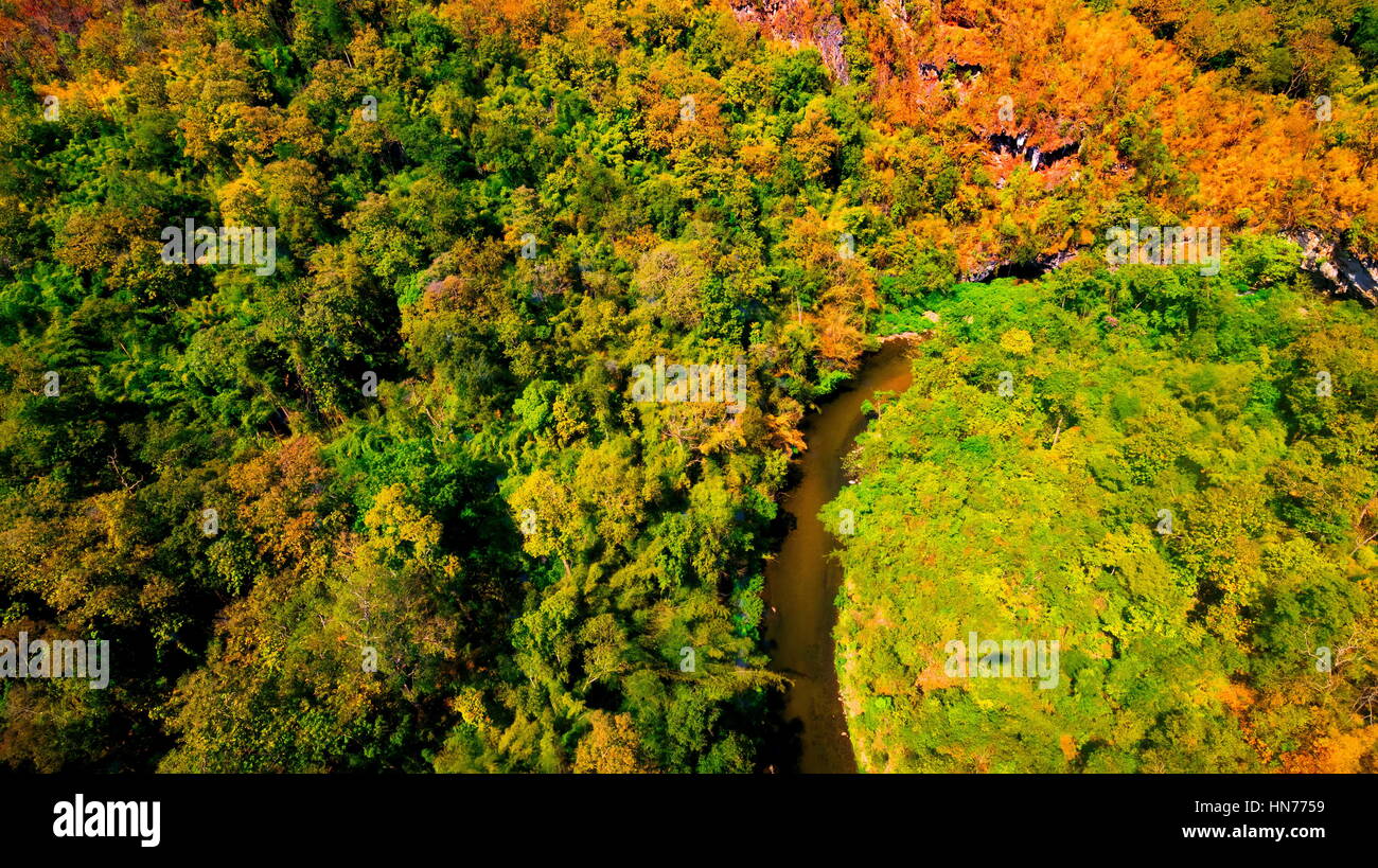 Aerial view of autumn forest Stock Photo - Alamy