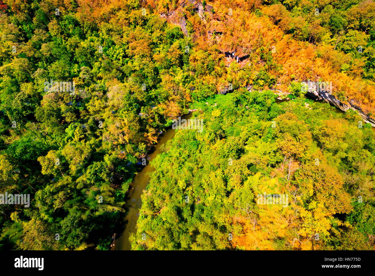 Aerial view of autumn forest Stock Photo - Alamy