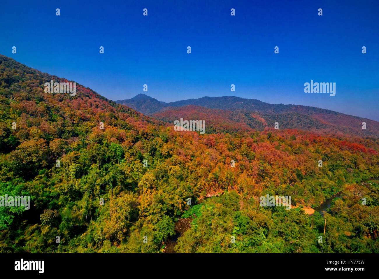 Aerial view of autumn forest Stock Photo - Alamy