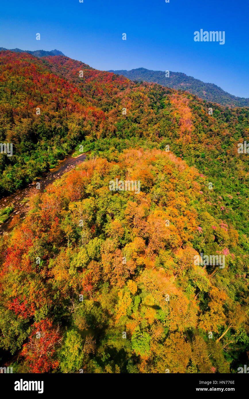 Aerial view of autumn forest Stock Photo - Alamy