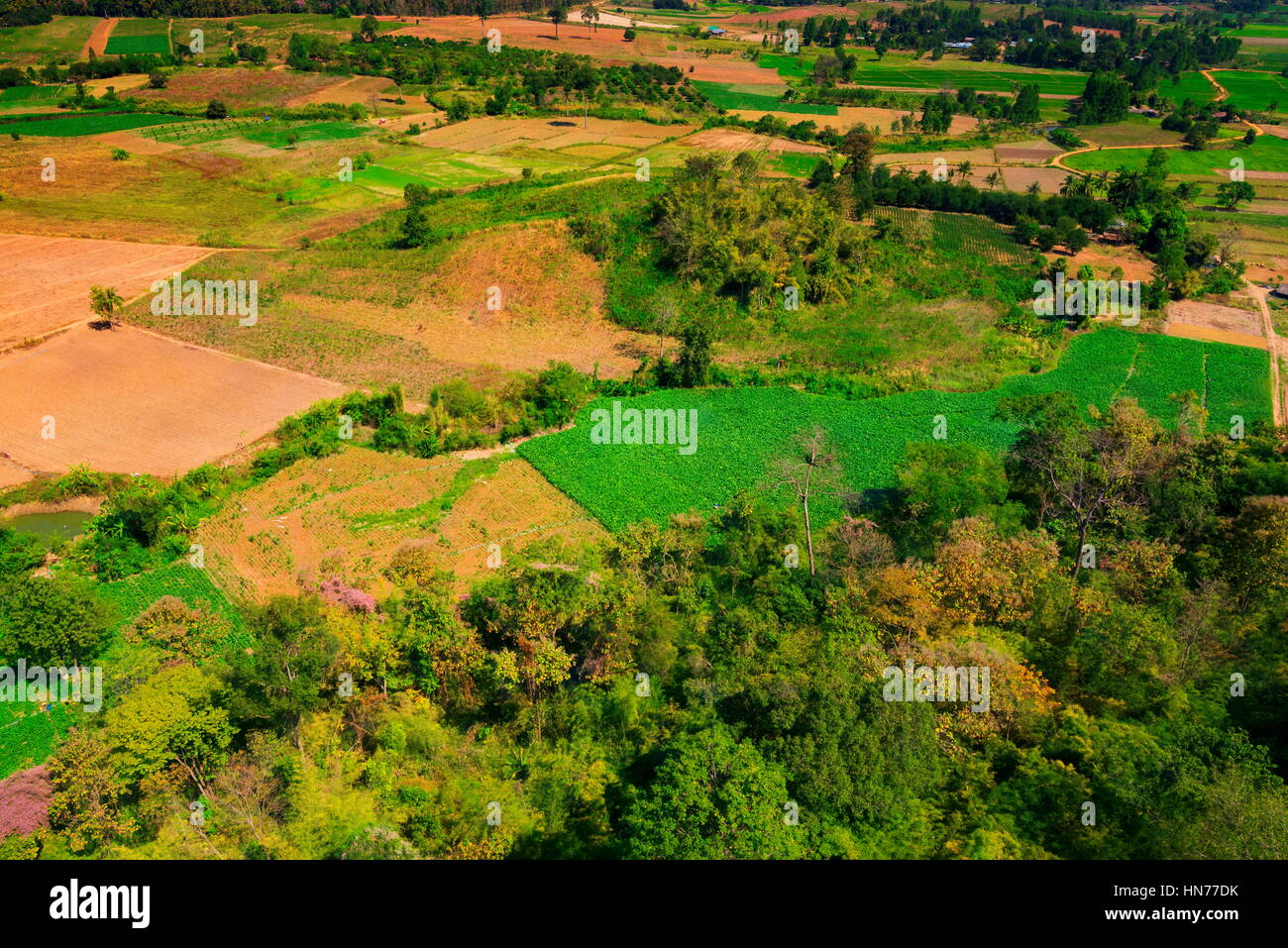 forest destruction in thailand form Aerial view Stock Photo - Alamy