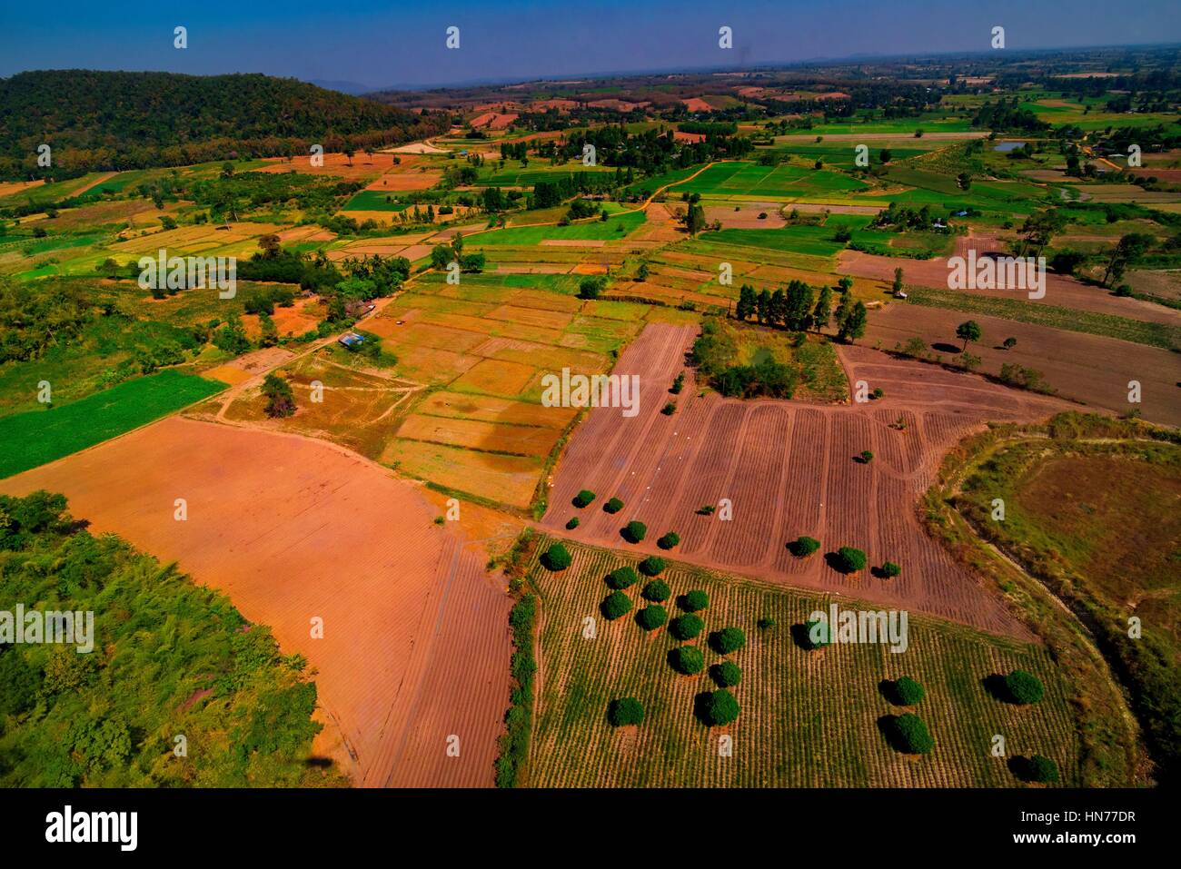 forest destruction in thailand form Aerial view Stock Photo - Alamy