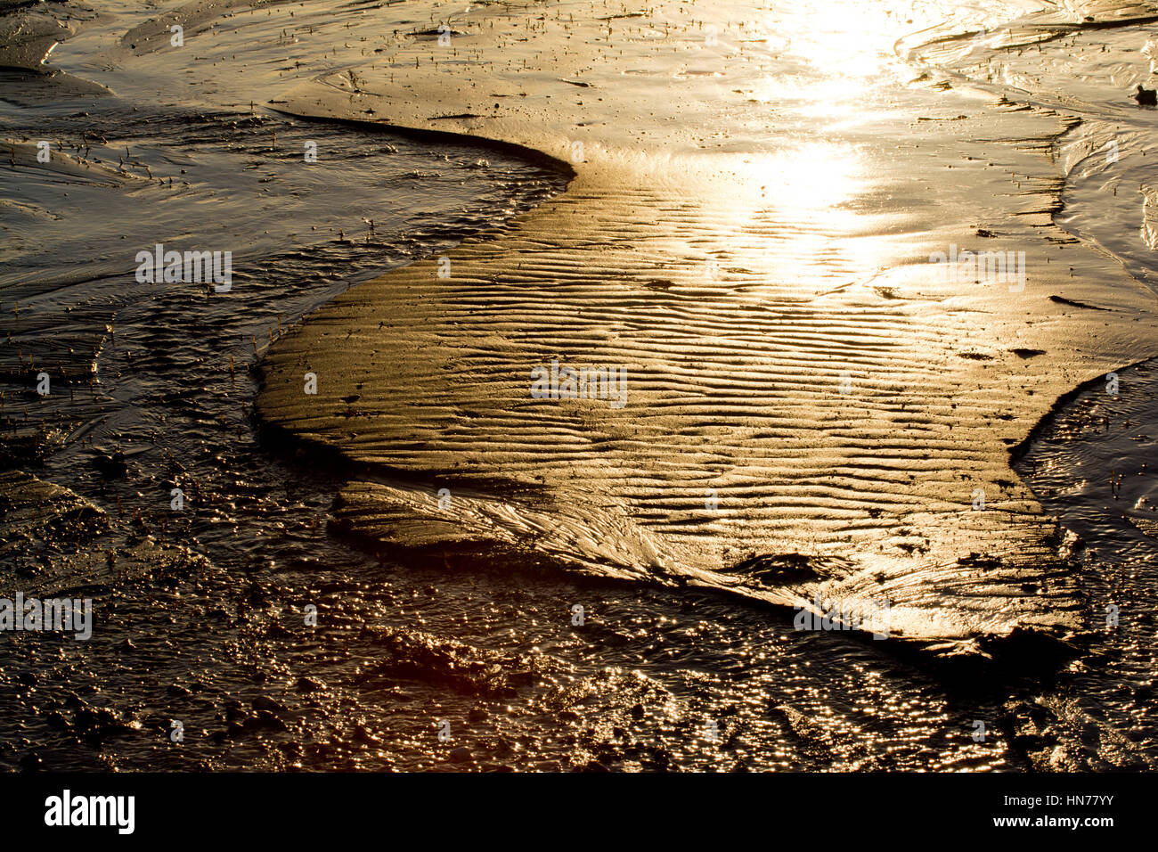 mud flats on beach on sea coastland Stock Photo - Alamy
