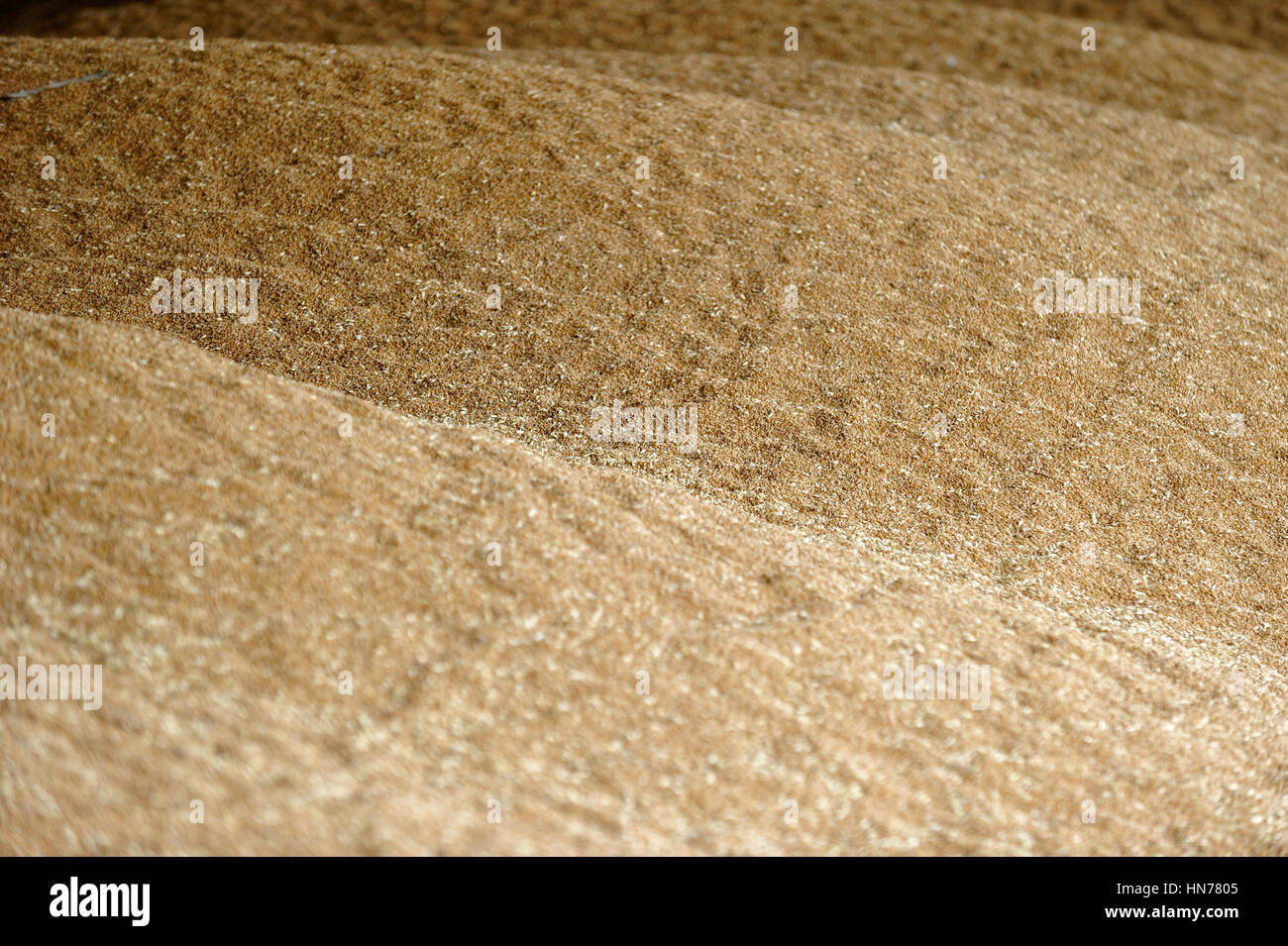 Background made of wheat grains. Wheat grains texture, top view Stock ...