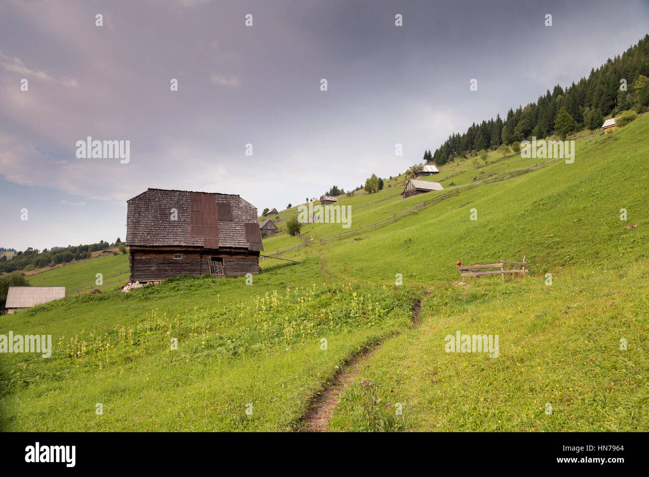 Summer landscape in Transylvania, Romania Stock Photo - Alamy