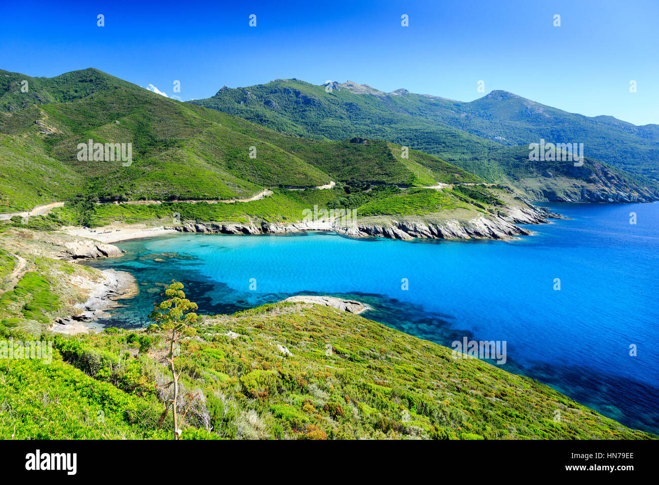Anse D'Aliso Beach, Cap Corse ,Corsica, France Stock Photo - Alamy