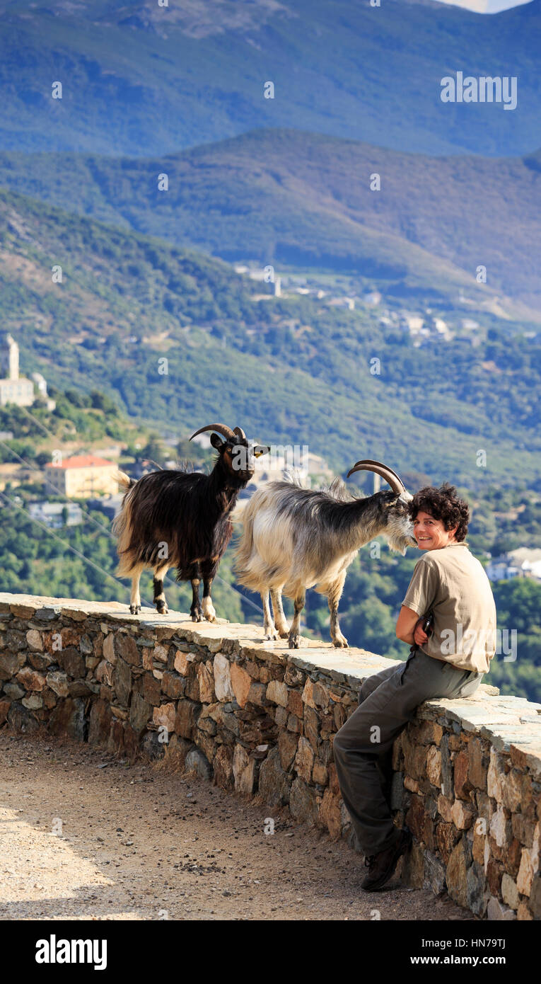 Shepherdess with goats, near Centuri, Cap Corse ,Corsica, France Stock ...