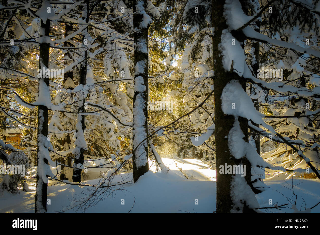 Vacation warmth hi-res stock photography and images - Alamy