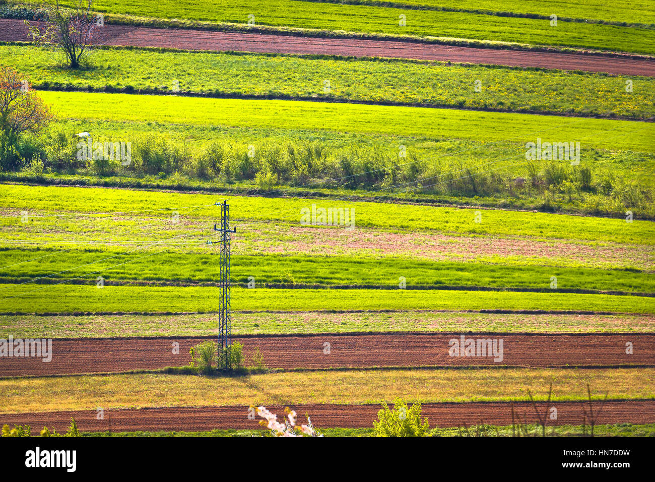 Green fields layer hi-res stock photography and images - Alamy