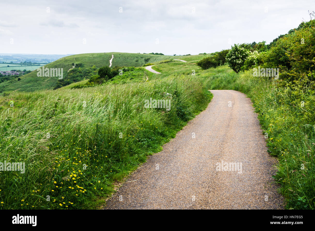 Curvy path hi-res stock photography and images - Alamy