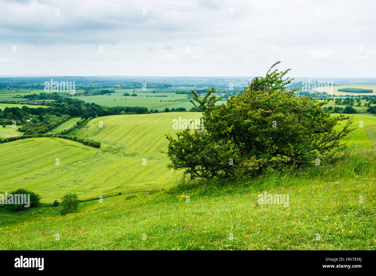 Rolling landscape of English midland in summer Stock Photo - Alamy