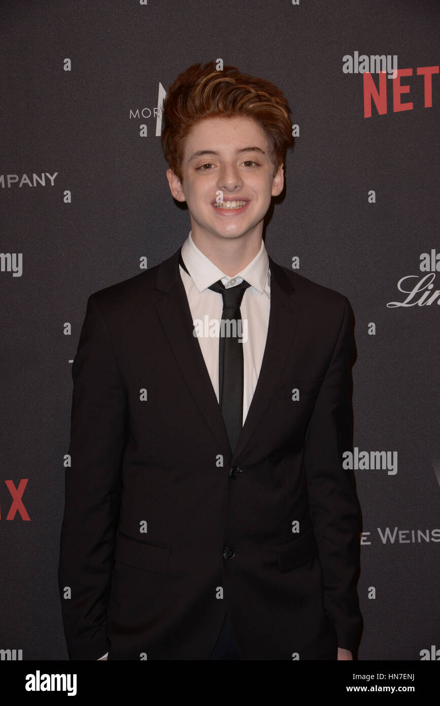 The 2017 Weinstein Company and Netflix Golden Globes After Party on ...