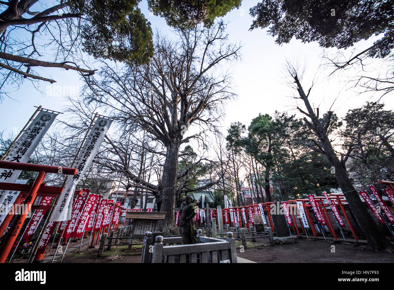 Sacred tree Kishimojin Jinja, Zoshigaya, Toshima-Ku, Tokyo, Japan Stock ...