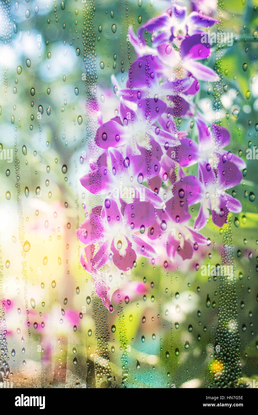 See through a glass hi-res stock photography and images - Alamy