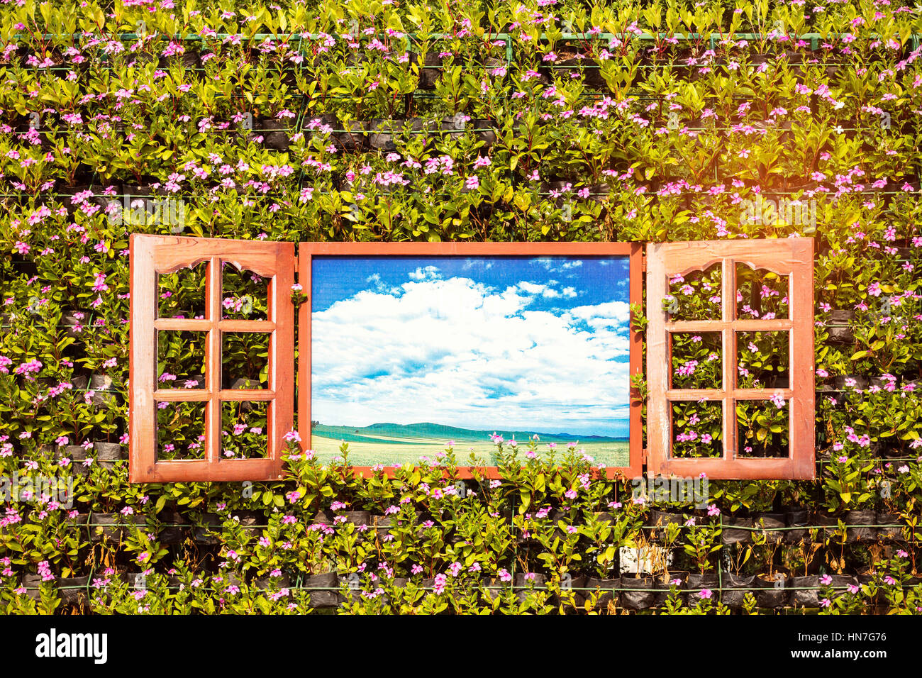 Wooden windows with decorative wall planted flowers Stock Photo - Alamy