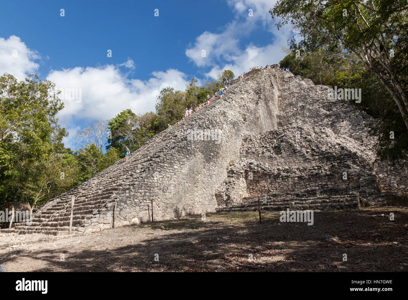 Tourist climbing Nohoch Mul the temple pyramid, Coba, Ancient Mayan ...