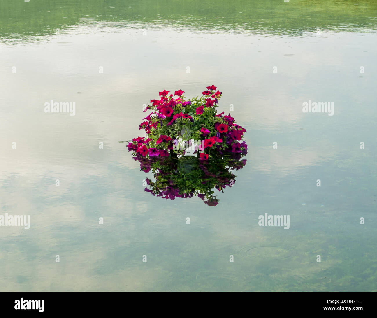 Clear water spring hi-res stock photography and images - Alamy