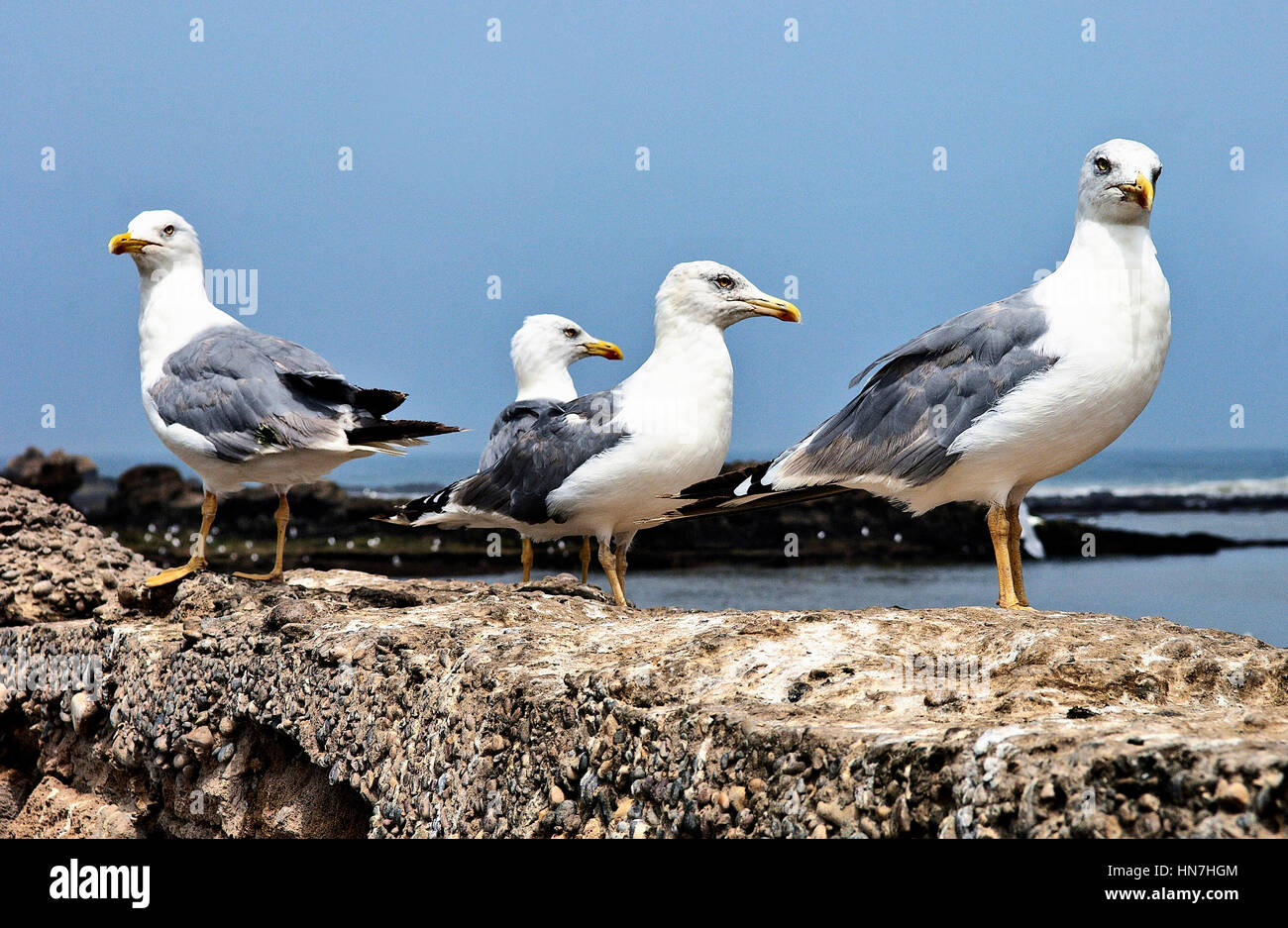 Four direction hi-res stock photography and images - Alamy