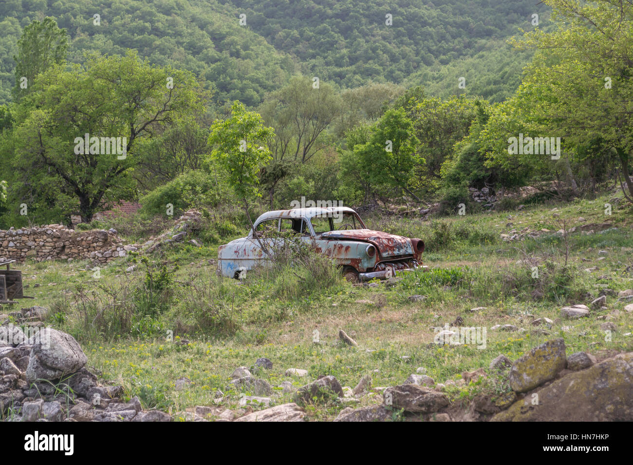 Old rusty car in the meadow Stock Photo - Alamy
