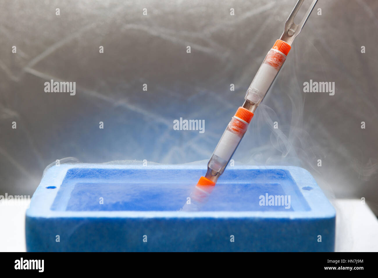 Liquid nitrogen container hi-res stock photography and images - Alamy