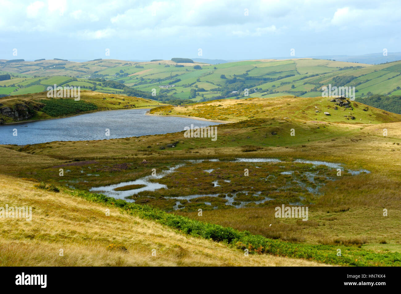 Llyn celyn hi-res stock photography and images - Alamy